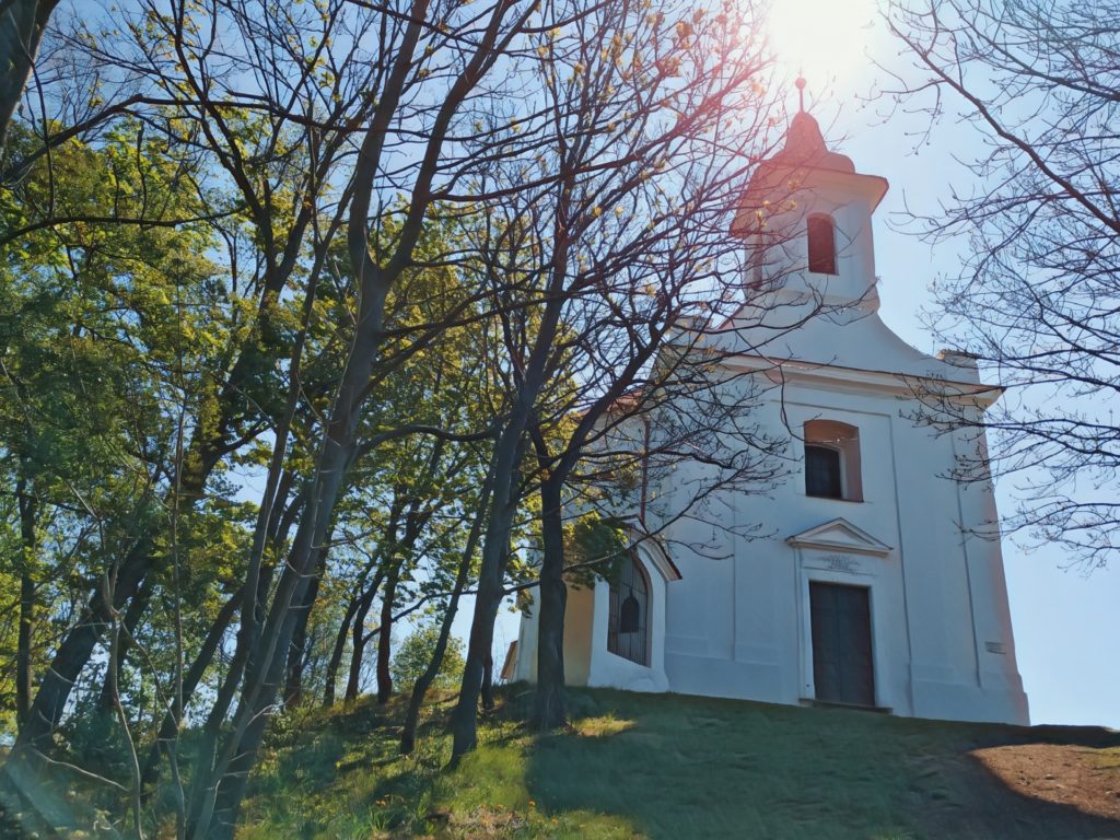 Courám po Česku: Dolní Kounice – Co mrzí Zrzi